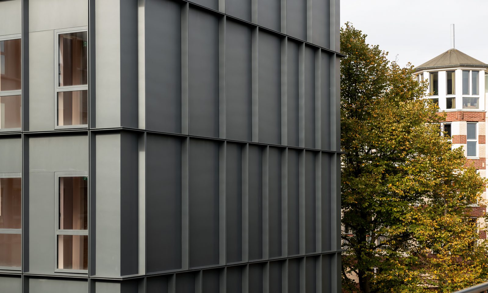 DC Van Hall - studioninedots